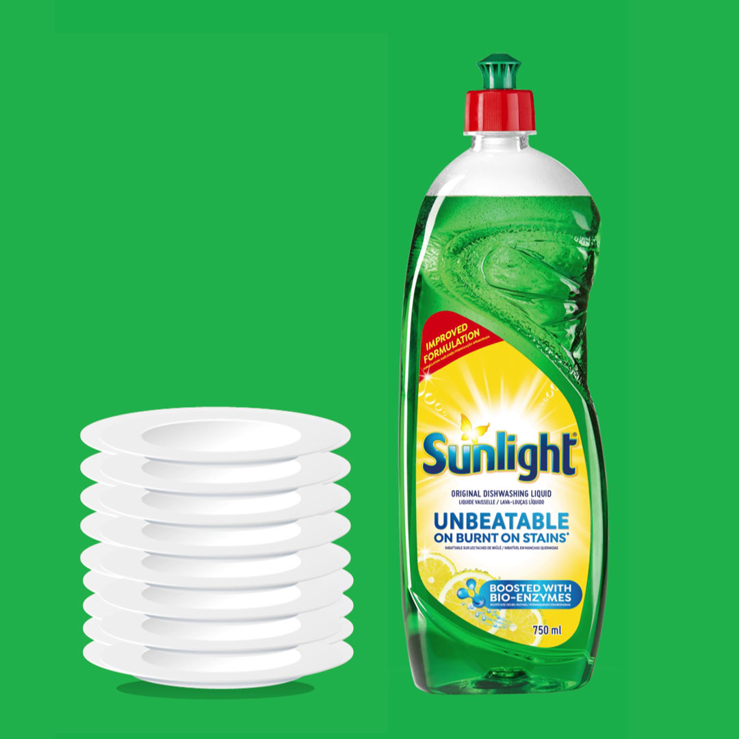 Sunlight - How many dishes? - Lucid Media - Animation & Digital Video ...